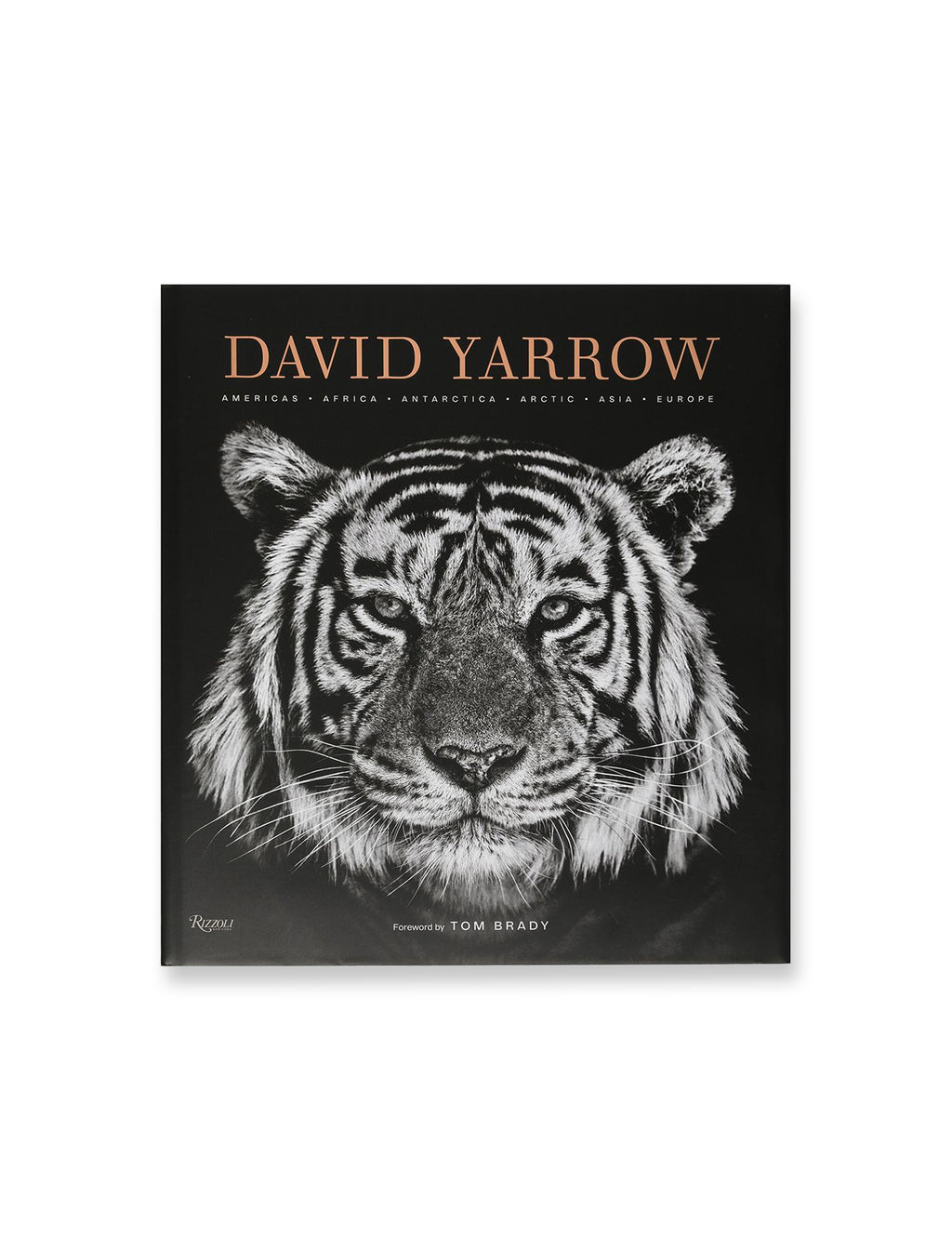 David Yarrow Photography – The Conservatory NYC